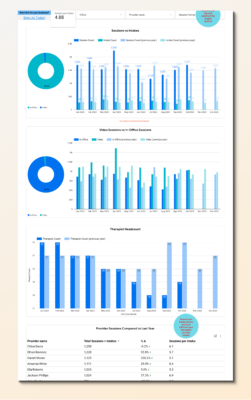 Therapy Private Practice Custom EHR Dashboards + Quickbooks